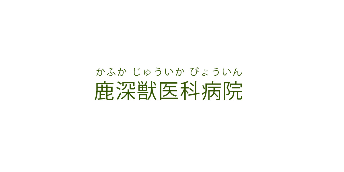 鹿深獣医科病院｜滋賀県甲賀市｜動物病院｜ペットホテル